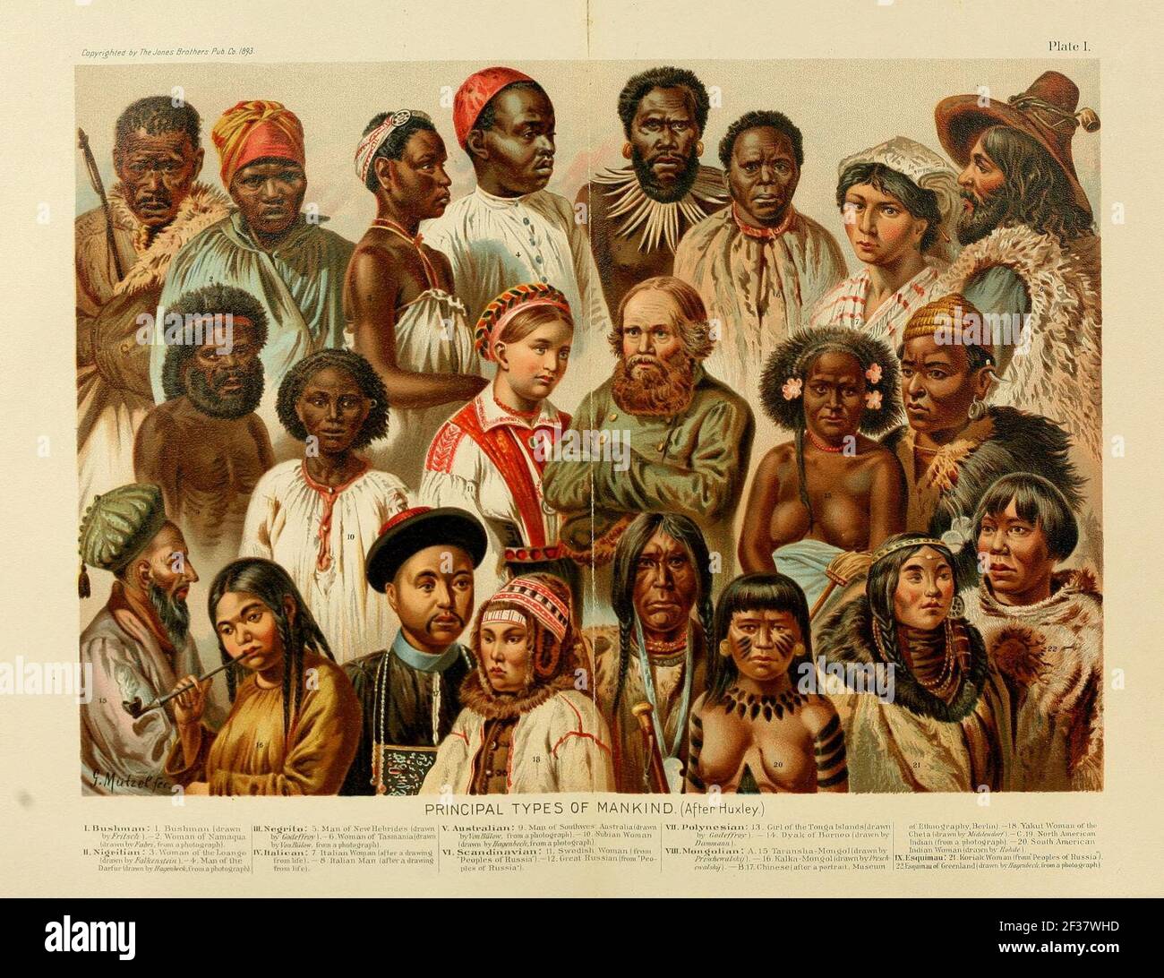 Principal types hi-res stock photography and images - Alamy Principal types hi-res stock photography and images - Alamy