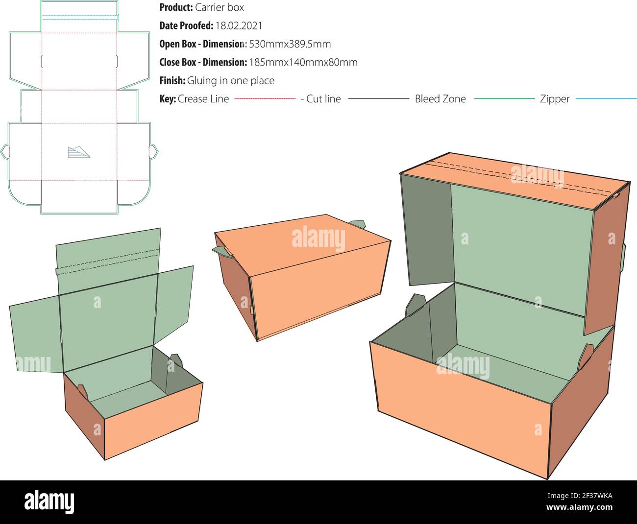 Box Packaging Design Vector