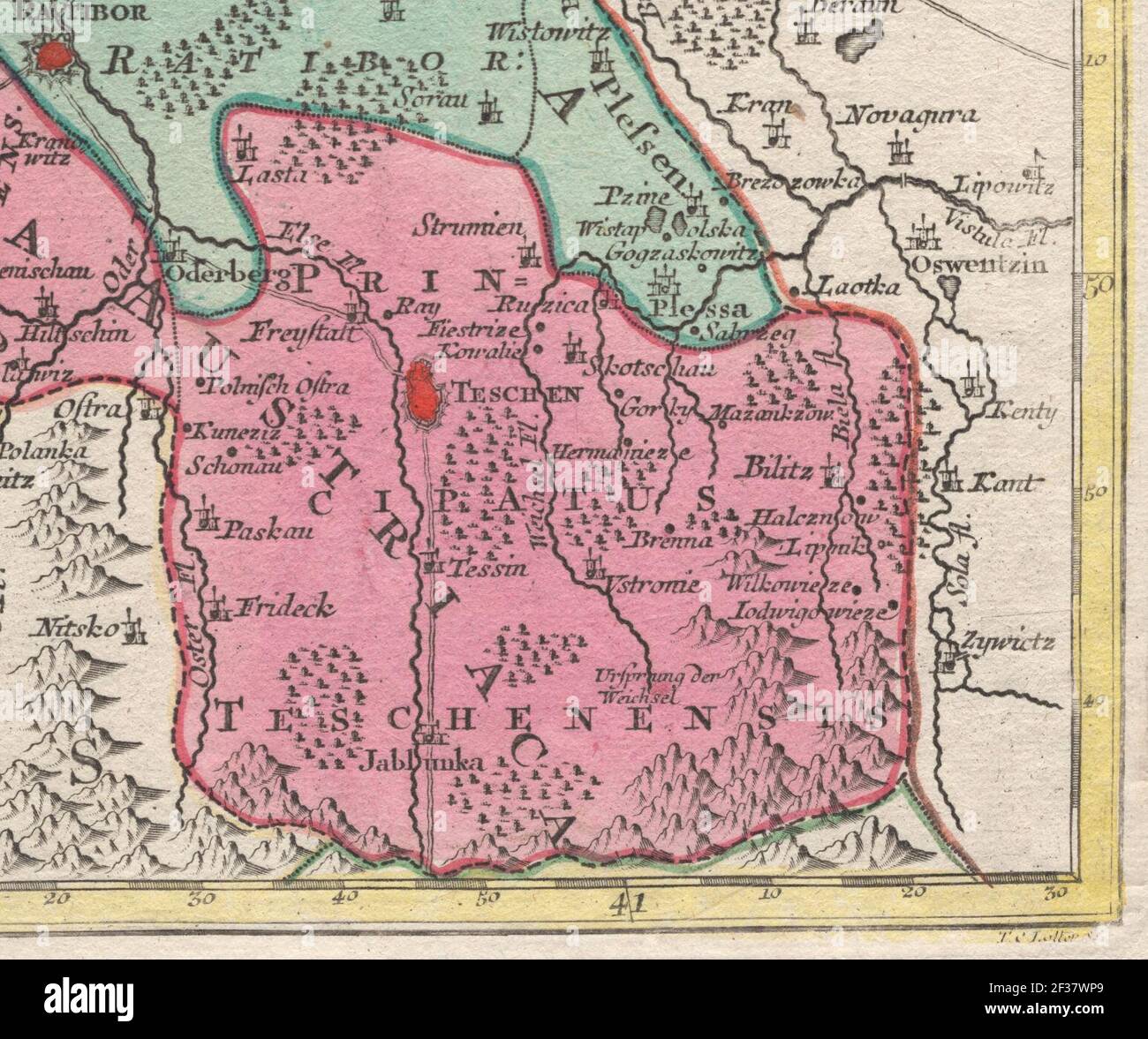 Teschenensis hi-res stock photography and images - Alamy