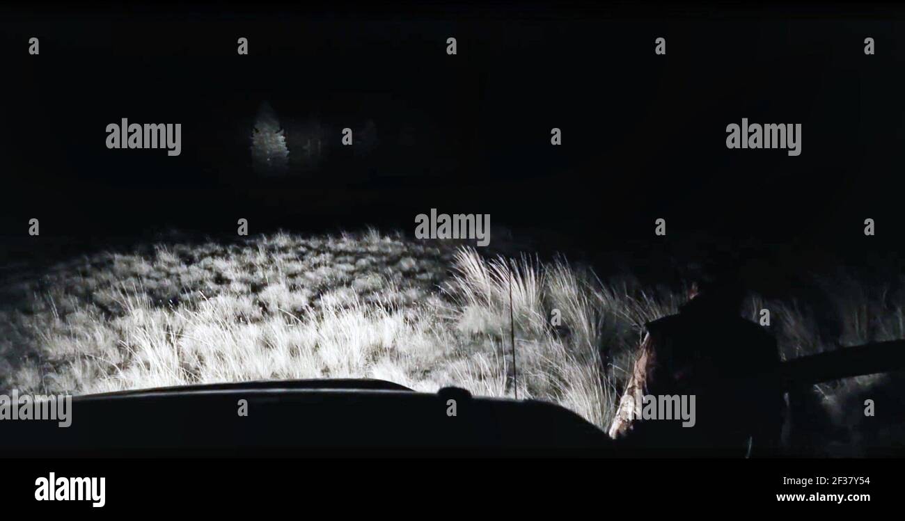 MISSING 411: THE HUNTED, 2019. © 1091 Pictures / Courtesy Everett ...