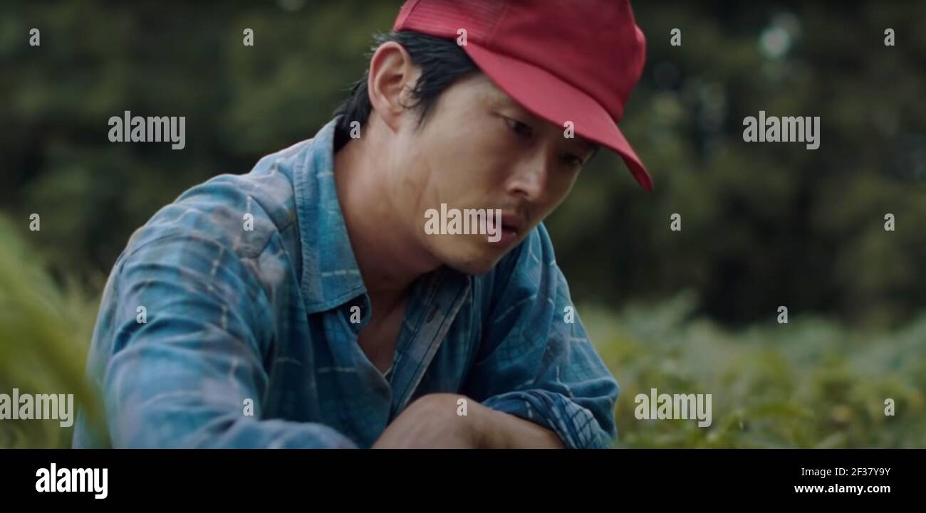 MINARI, Steven YEUN, 2020. © A24 / Courtesy Everett Collection Stock ...