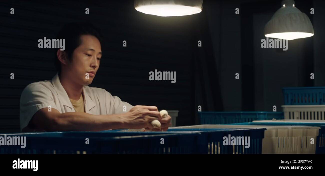 MINARI, Steven YEUN, 2020. © A24 / Courtesy Everett Collection Stock ...