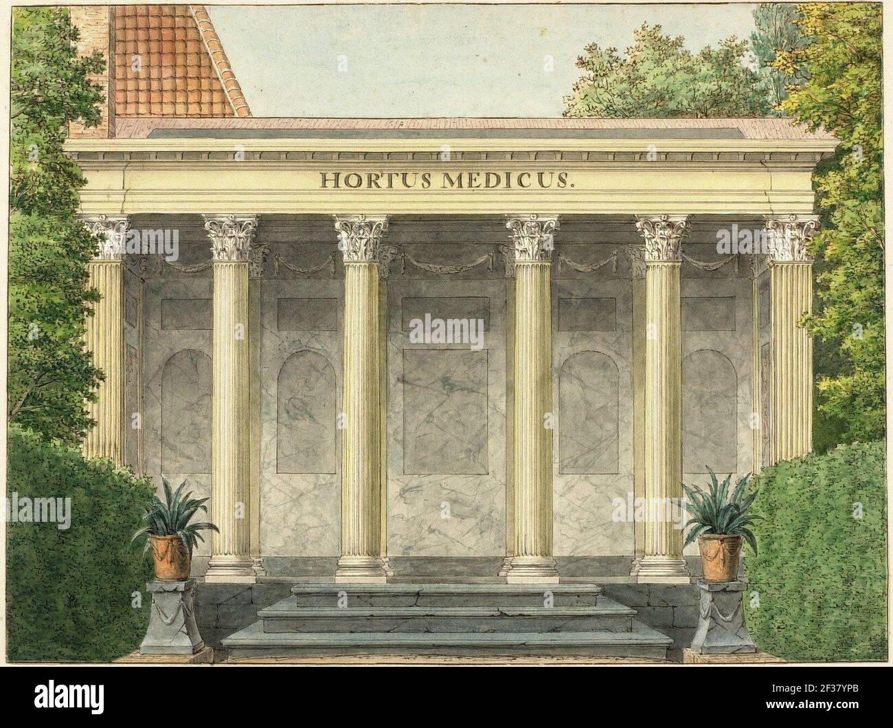Hortus medicus hi-res stock photography and images - Alamy