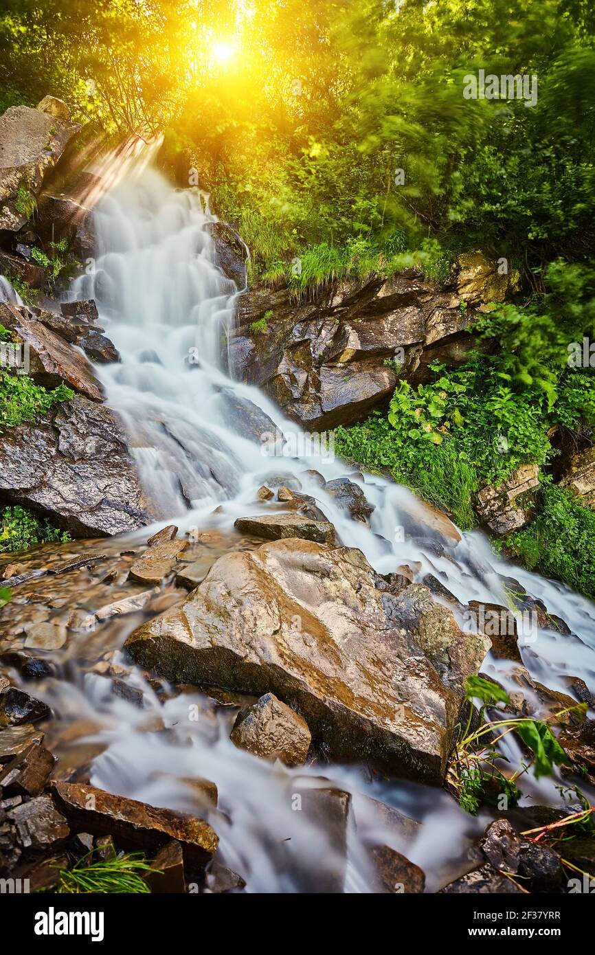 Fast mountain stream in the forest, summer landscape Stock Photo - Alamy