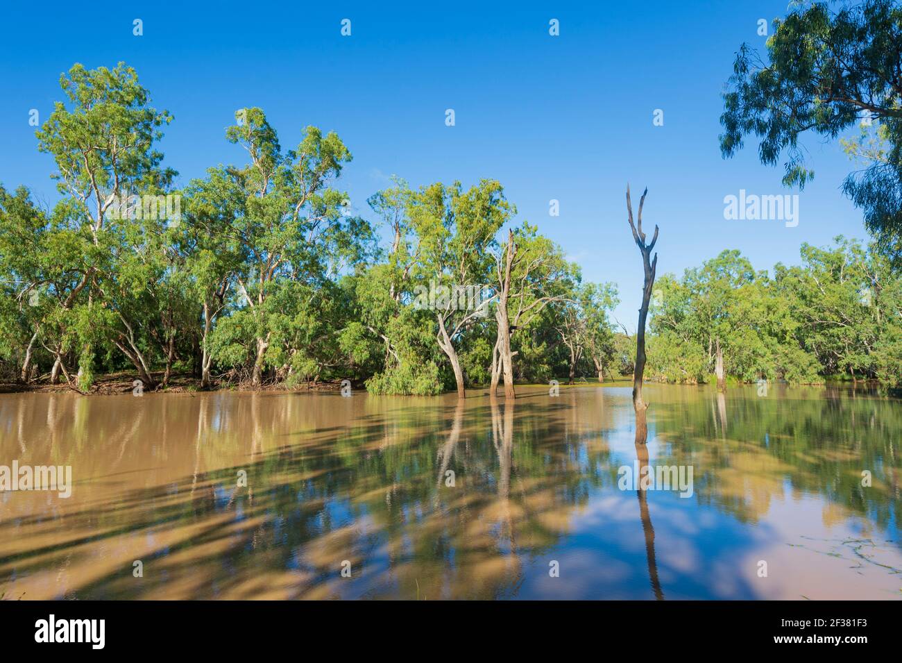 Scenic view of the Moonie River in flood with its muddy waters, near ...