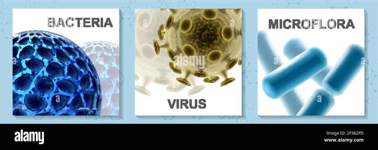 Realistic microbiology colorful cards set with viruses germs and ...