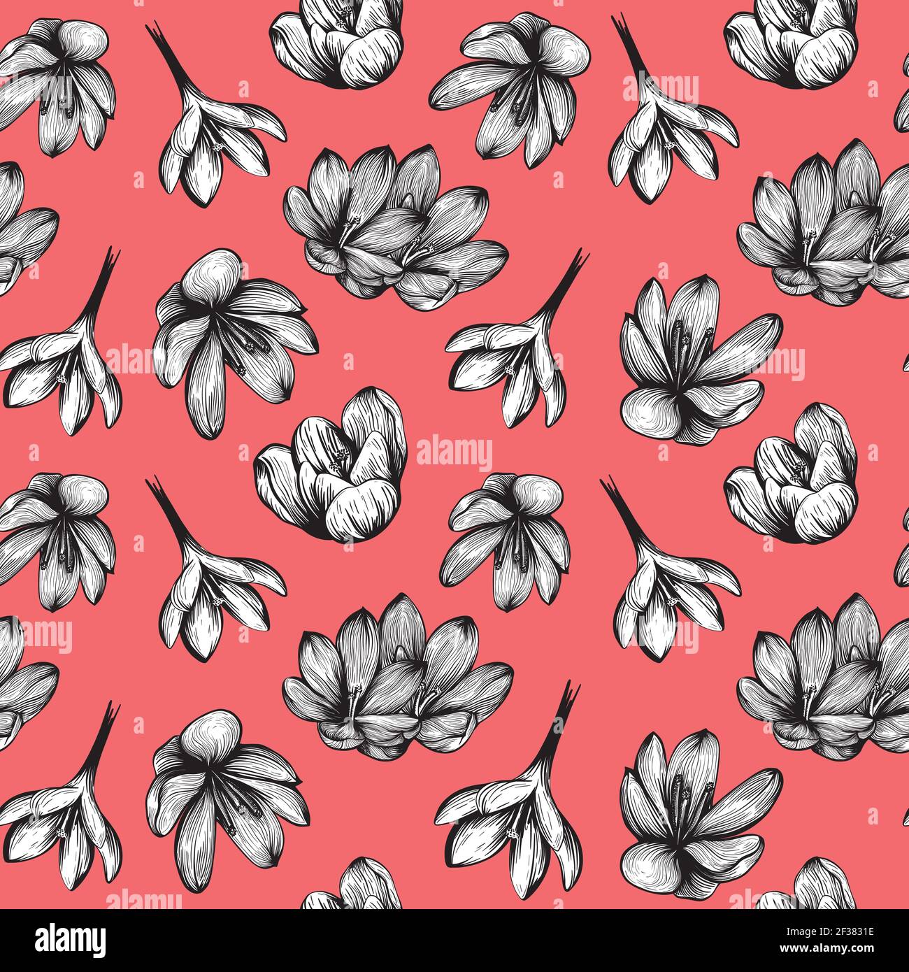 Saffron Pistil Stock Vector Images - Alamy