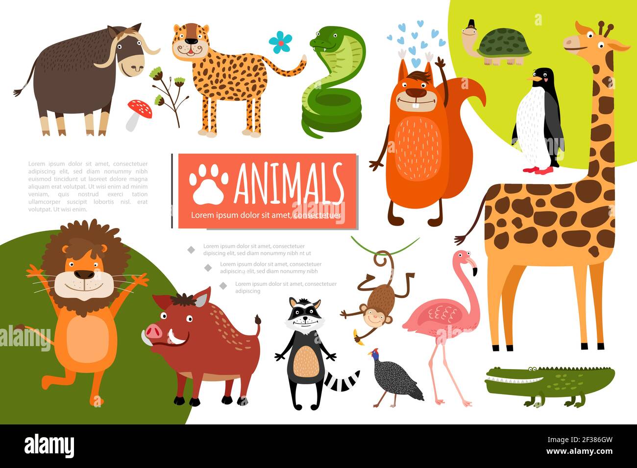 Flat zoo animals composition with buffalo leopard snake squirrel ...