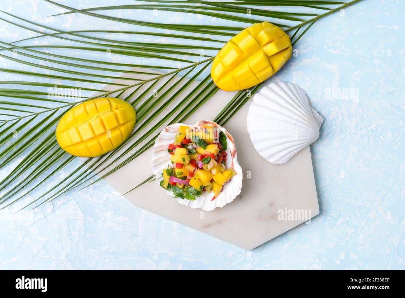 Sea shell with fresh mango salsa on color background Stock Photo - Alamy