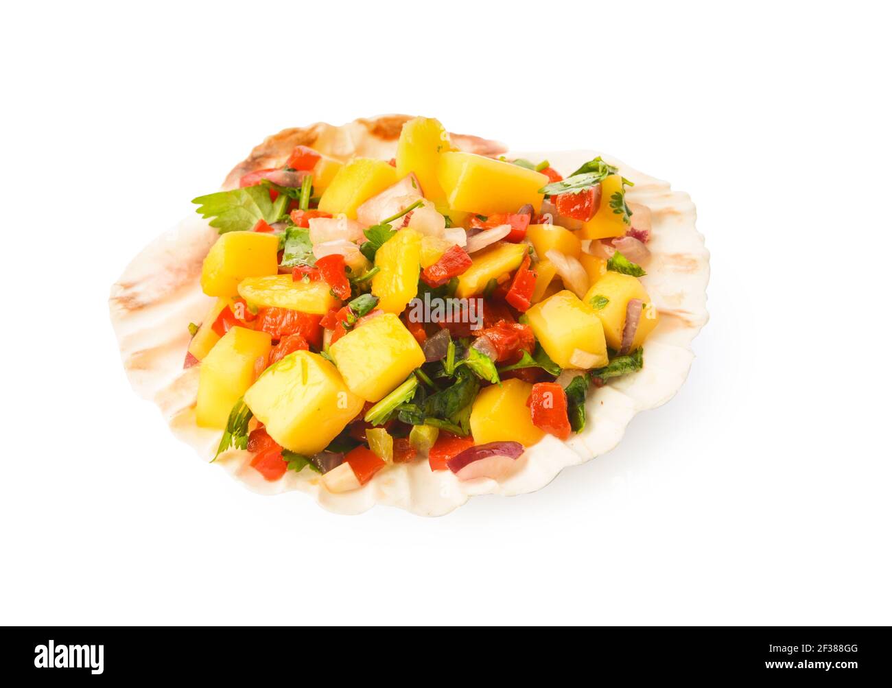 Sea shell with fresh mango salsa on white background Stock Photo - Alamy