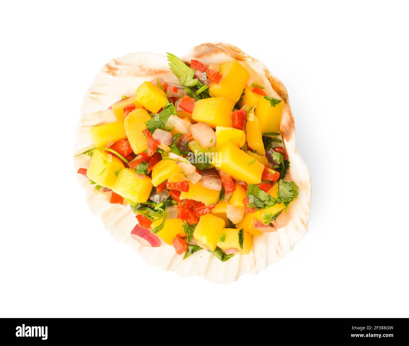 Sea shell with fresh mango salsa on white background Stock Photo - Alamy