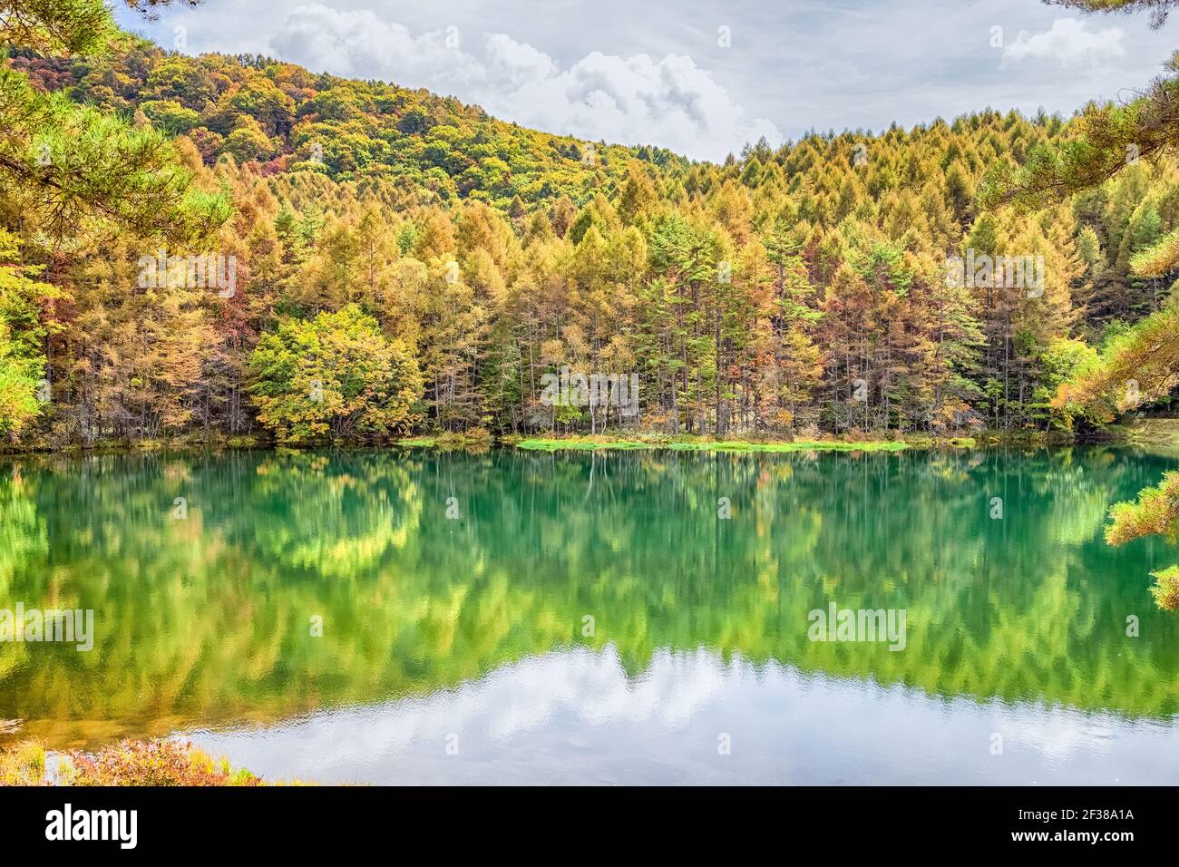 Chino nagano hi-res stock photography and images - Alamy