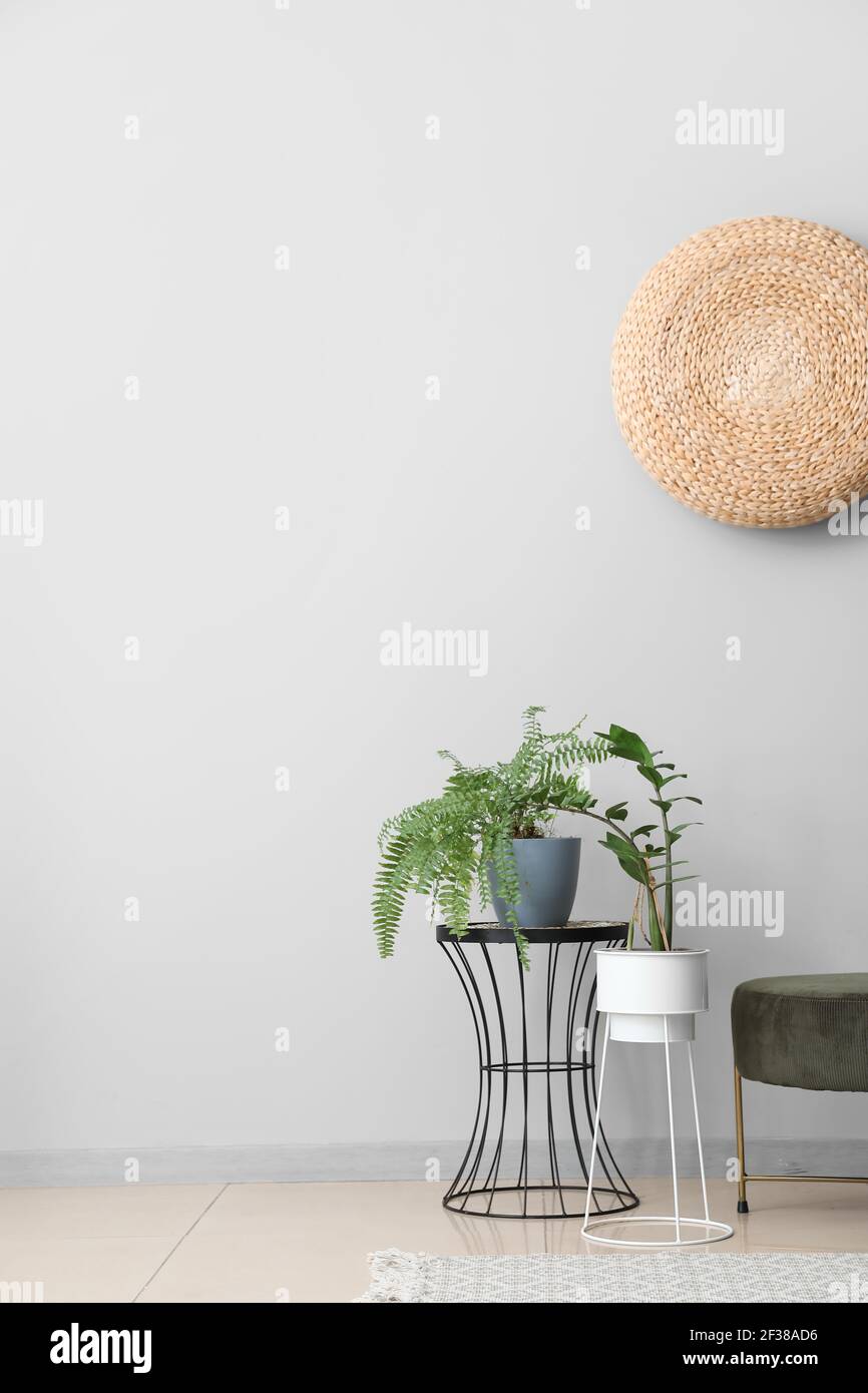 Houseplants near light wall in room Stock Photo - Alamy