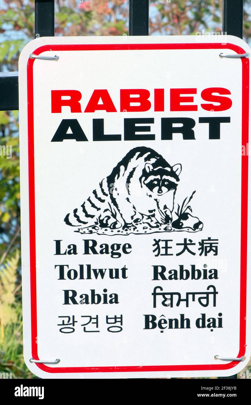 Rabies Alert signage in Stanley Park, Vancouver, B. C., Canada Stock ...