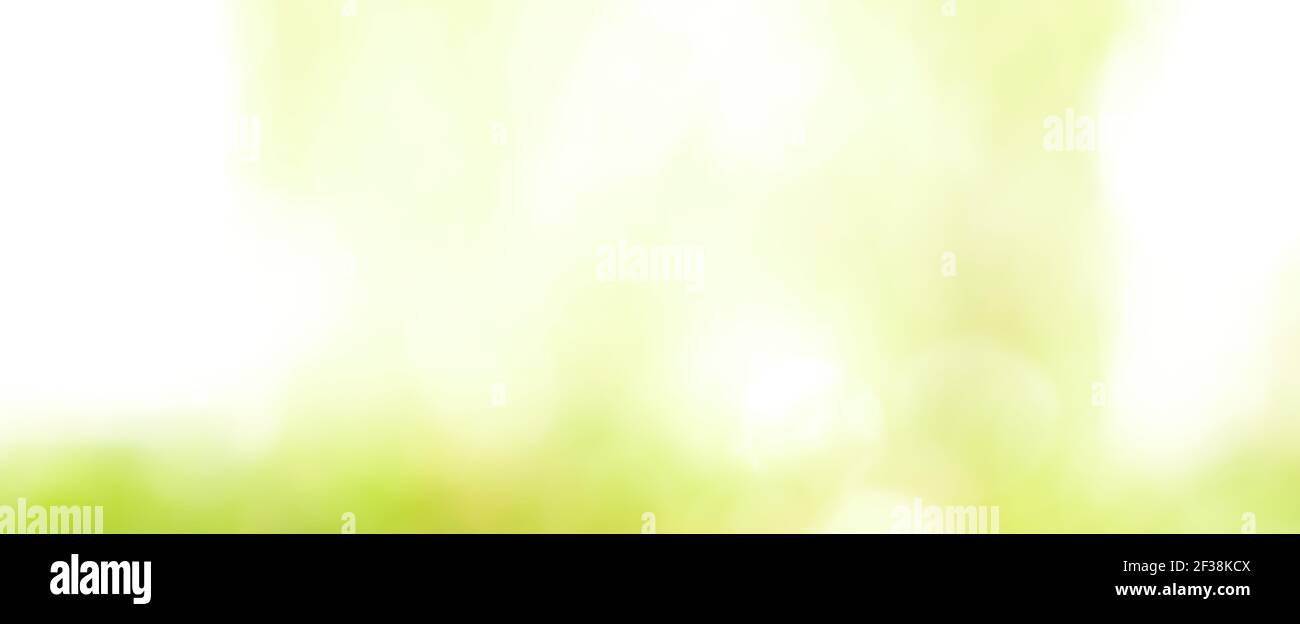 Abstract white green gradient panoramic header background Stock Photo - Alamy