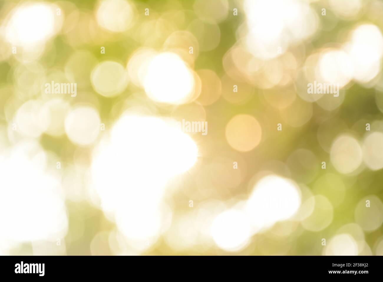 Sunlight natural hi-res stock photography and images - Alamy