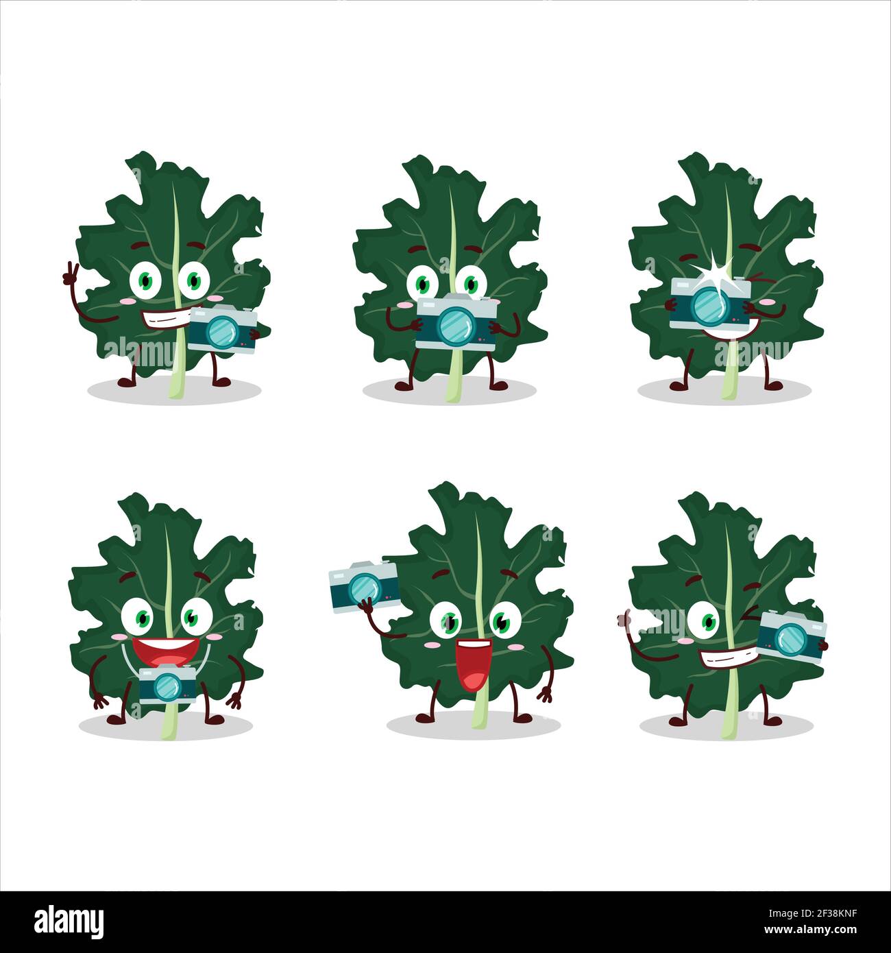 Photographer profession emoticon with kale cartoon character. Vector ...