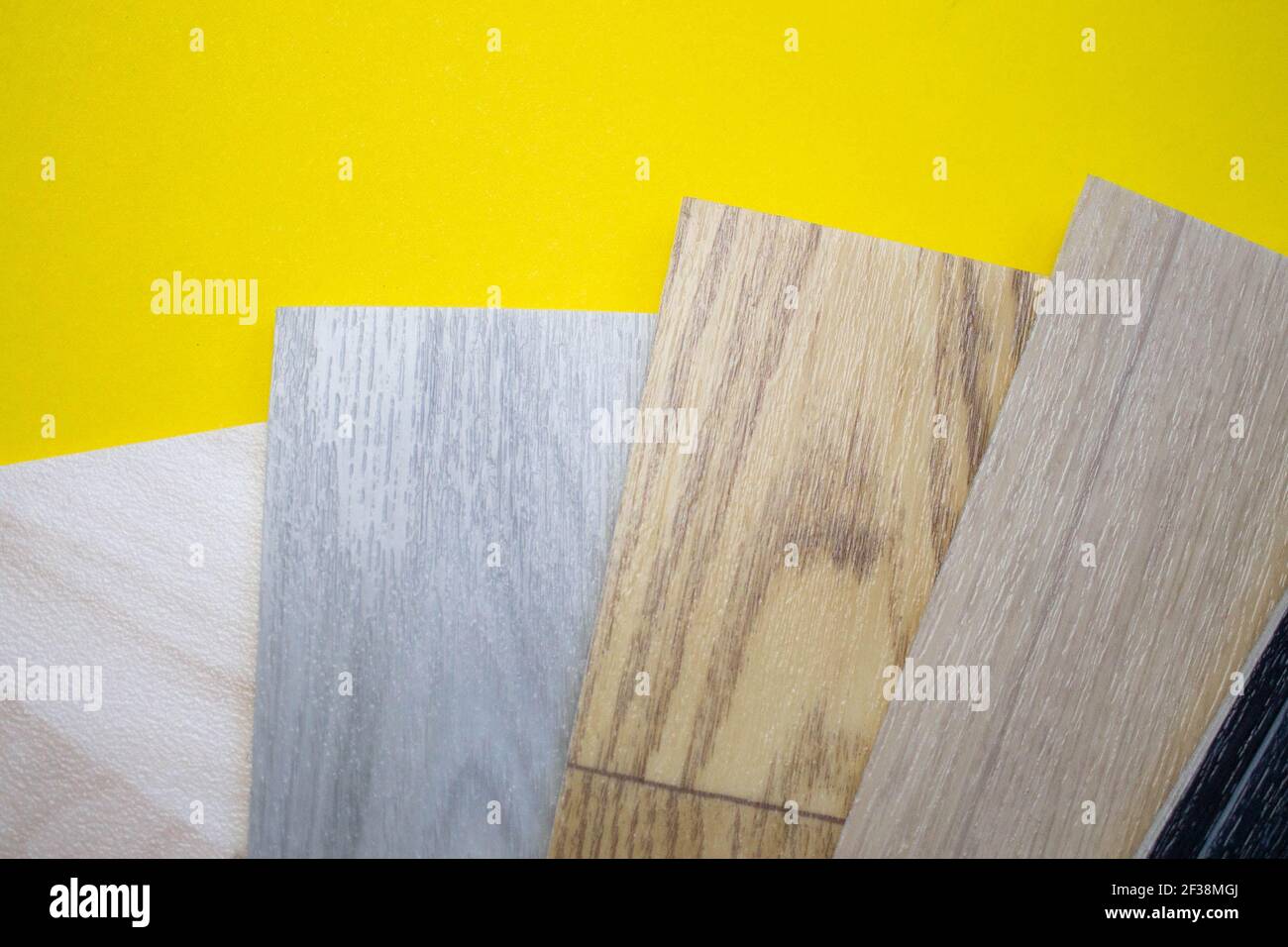 Floor covering - linoleum. The floor covering is rolled. Selection of ...