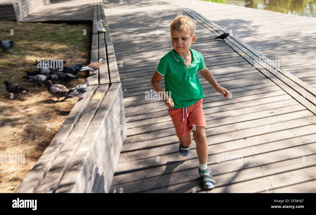 Little boy running on wooden path in summer day Stock Photo - Alamy
