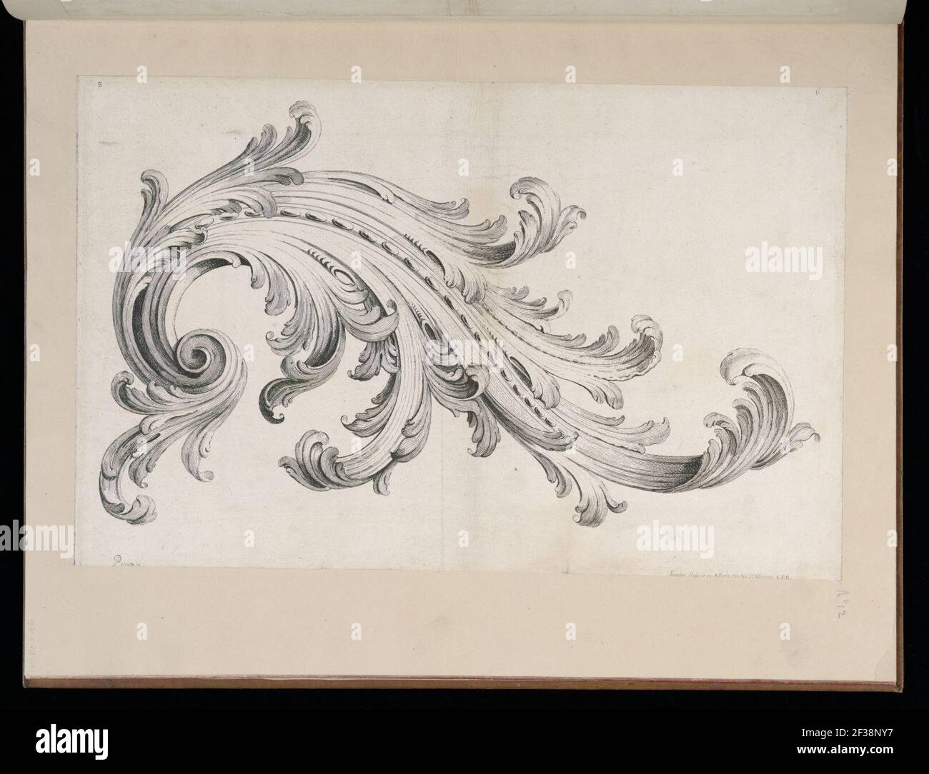 Acanthus leaf hi-res stock photography and images - Alamy