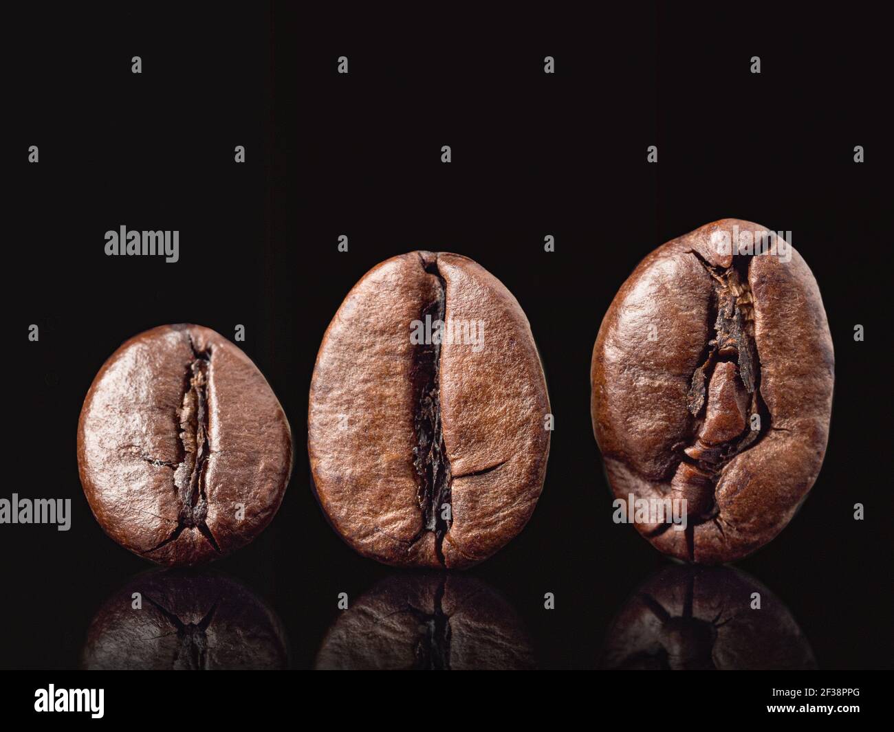 Coffee beans on black background. Macro shoot. Low key photographic ...