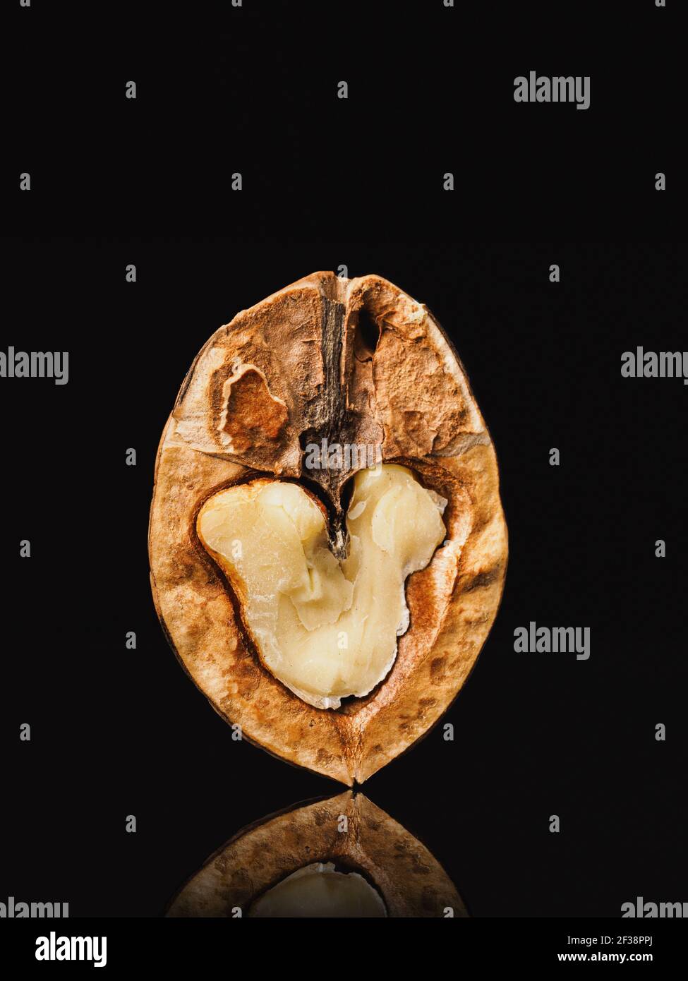 Walnut on black background. Low key style. Nut cut in half stands ...