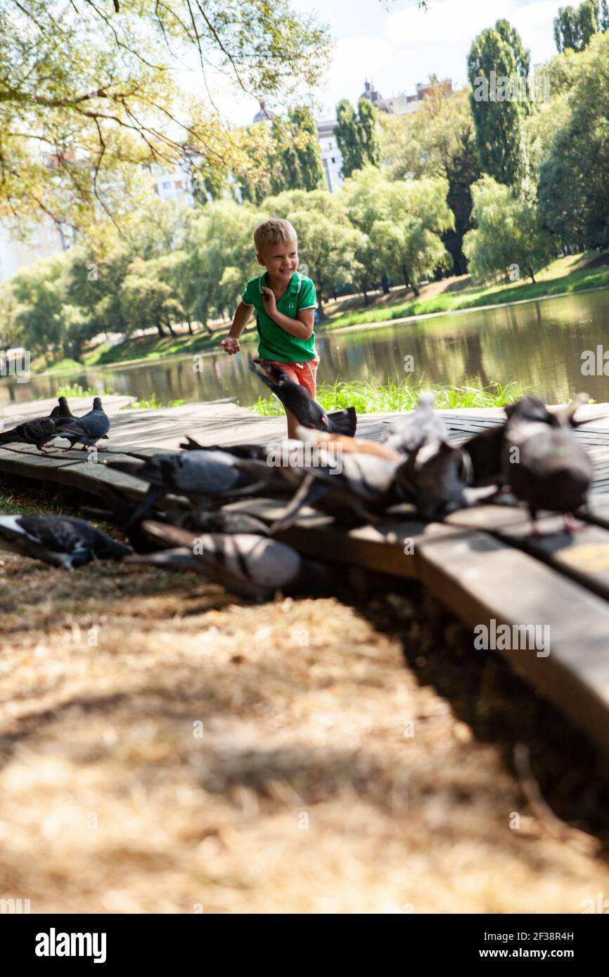 Little boy running on wooden path in summer day Stock Photo - Alamy
