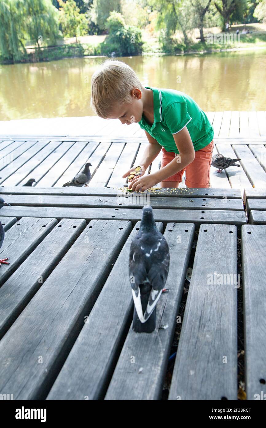 Little kid feeding pigeons on street in summer day in park Stock Photo ...