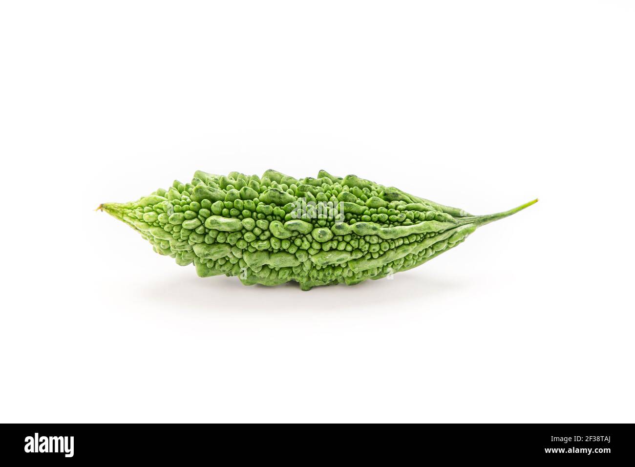 Close up fresh bitter gourd isolated on white background Stock Photo ...