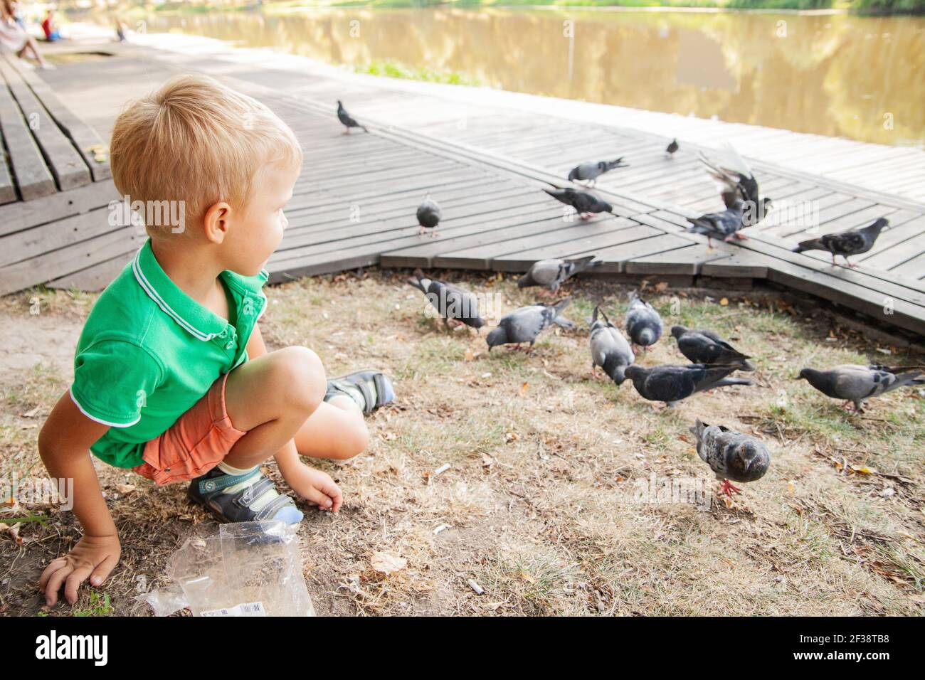 Side view of happy kid observing birds in park Stock Photo - Alamy