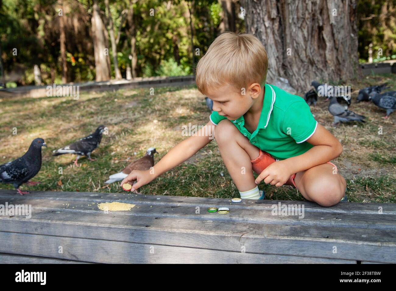Little kid feeding pigeons on street in summer day in park Stock Photo ...
