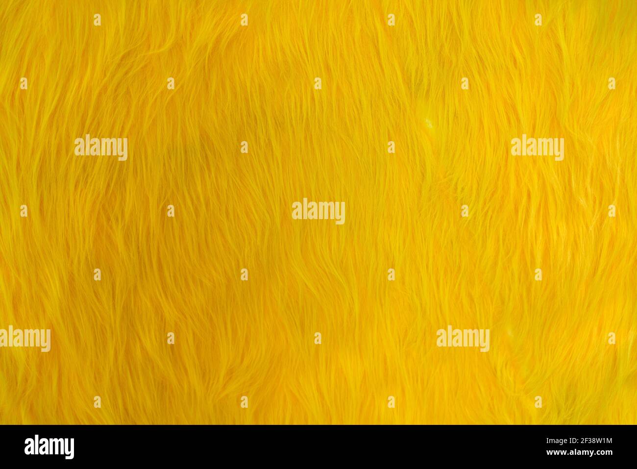 Yellow fluff on a background wall Stock Photo - Alamy