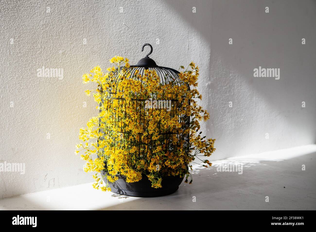 Decoration yellow cage hi-res stock photography and images - Alamy