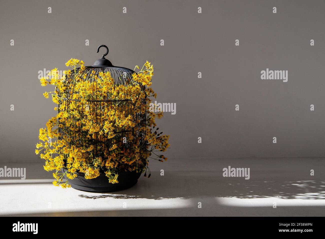 Decoration yellow cage hi-res stock photography and images - Alamy