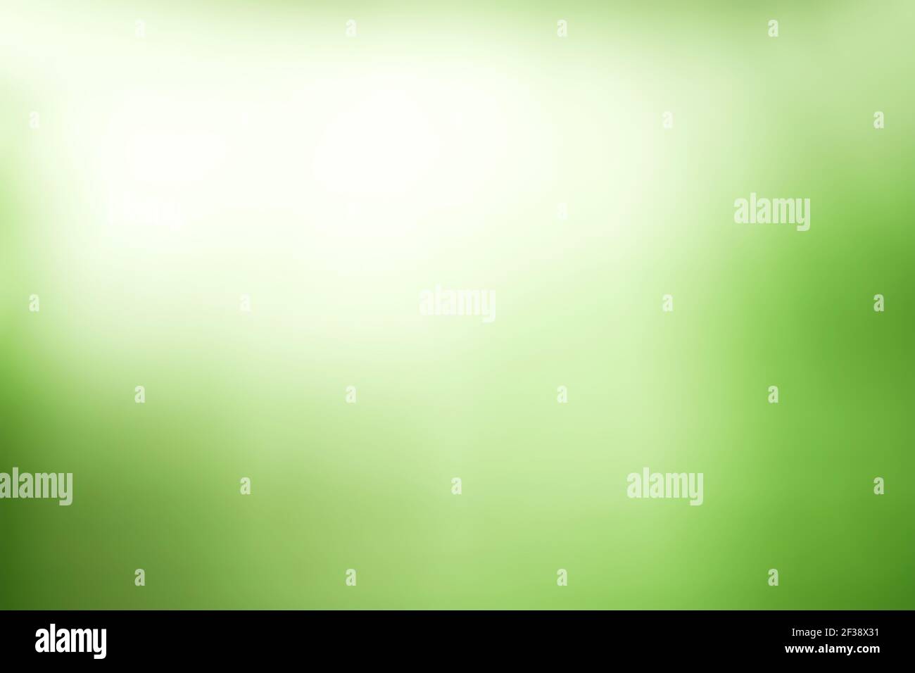 Light green gradient abstract background Stock Photo - Alamy