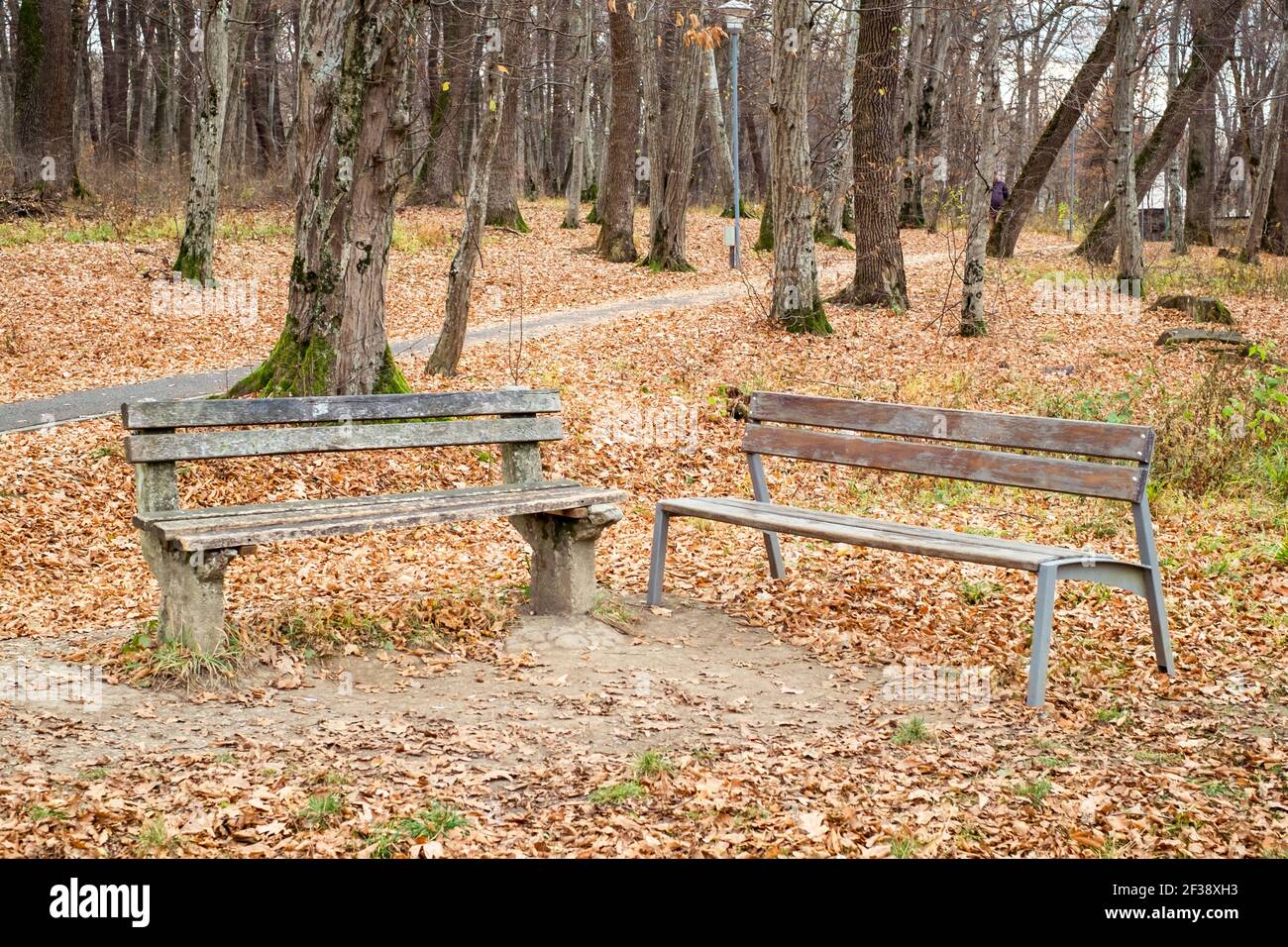 old wooden bench in the woods Stock Photo - Alamy