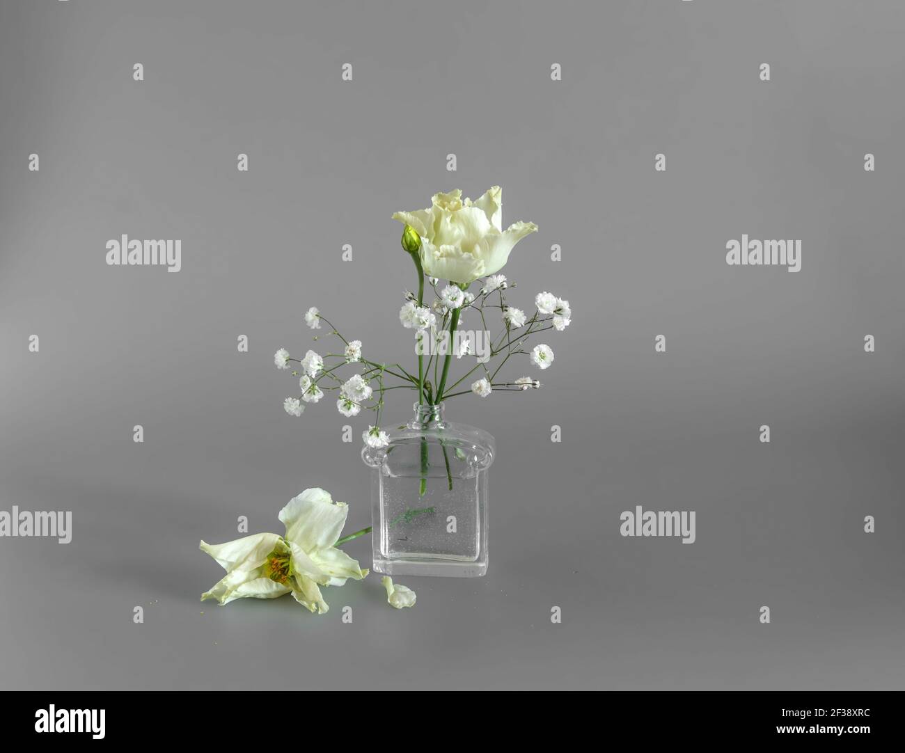 Small bouquet with white flowers in a glass bottle. Minimalism Stock ...