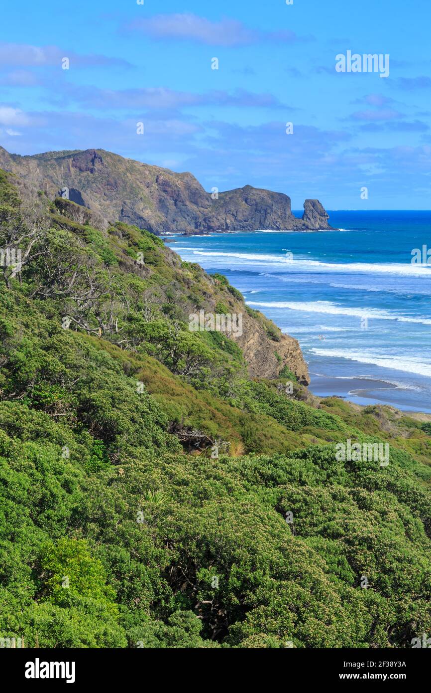 New forest coastline hi-res stock photography and images - Alamy
