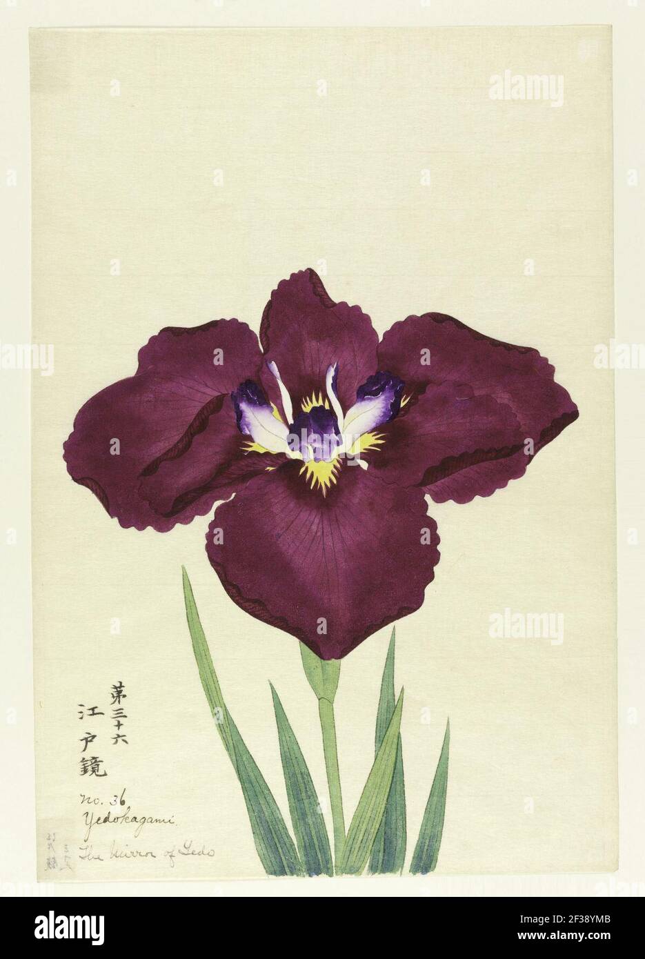 Print, The Mirror of Yedo (Yedo Kagami), No. 36, ca. 1910 Stock Photo ...