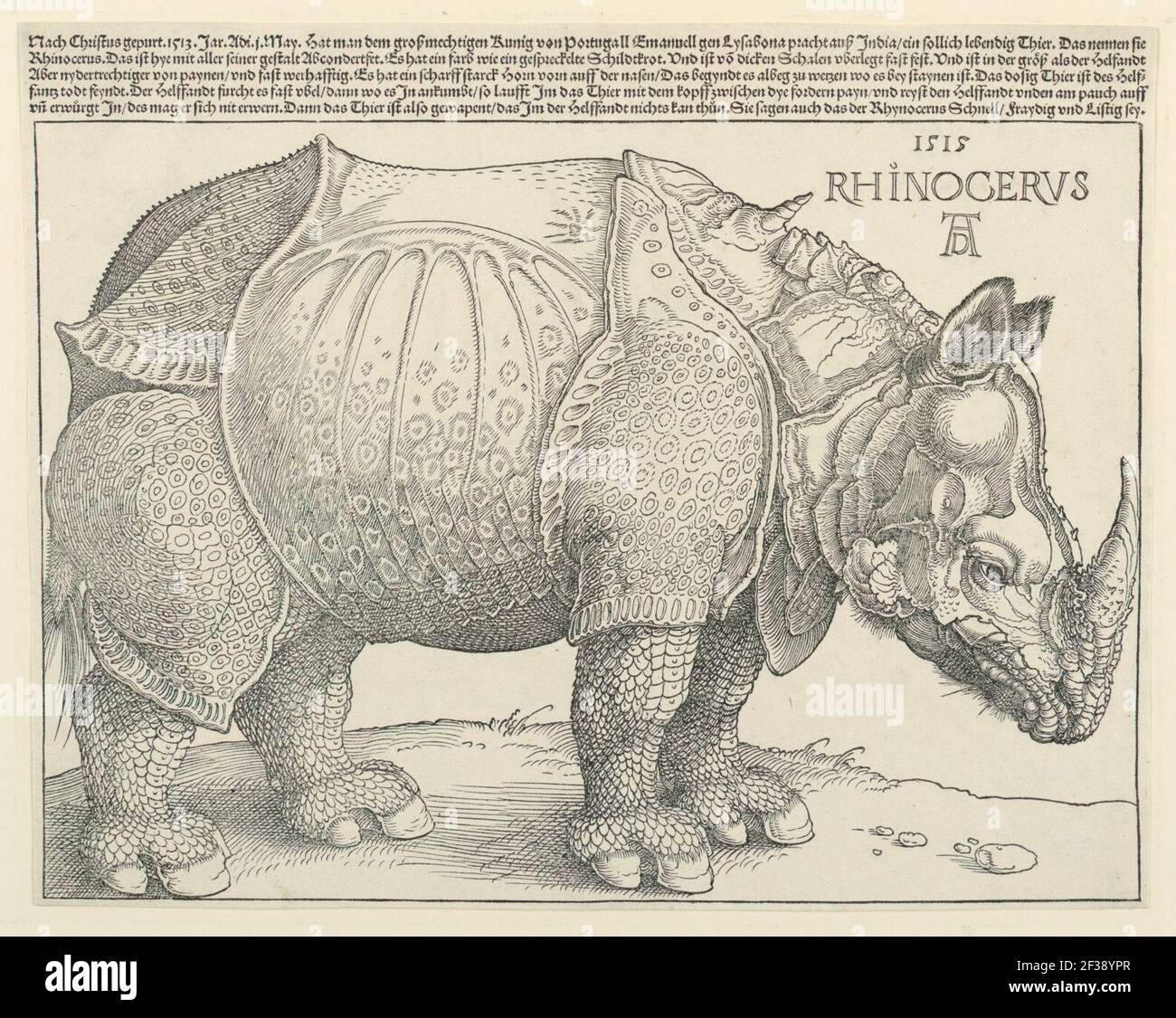 Print, The Rhinoceros, 1515 Stock Photo - Alamy