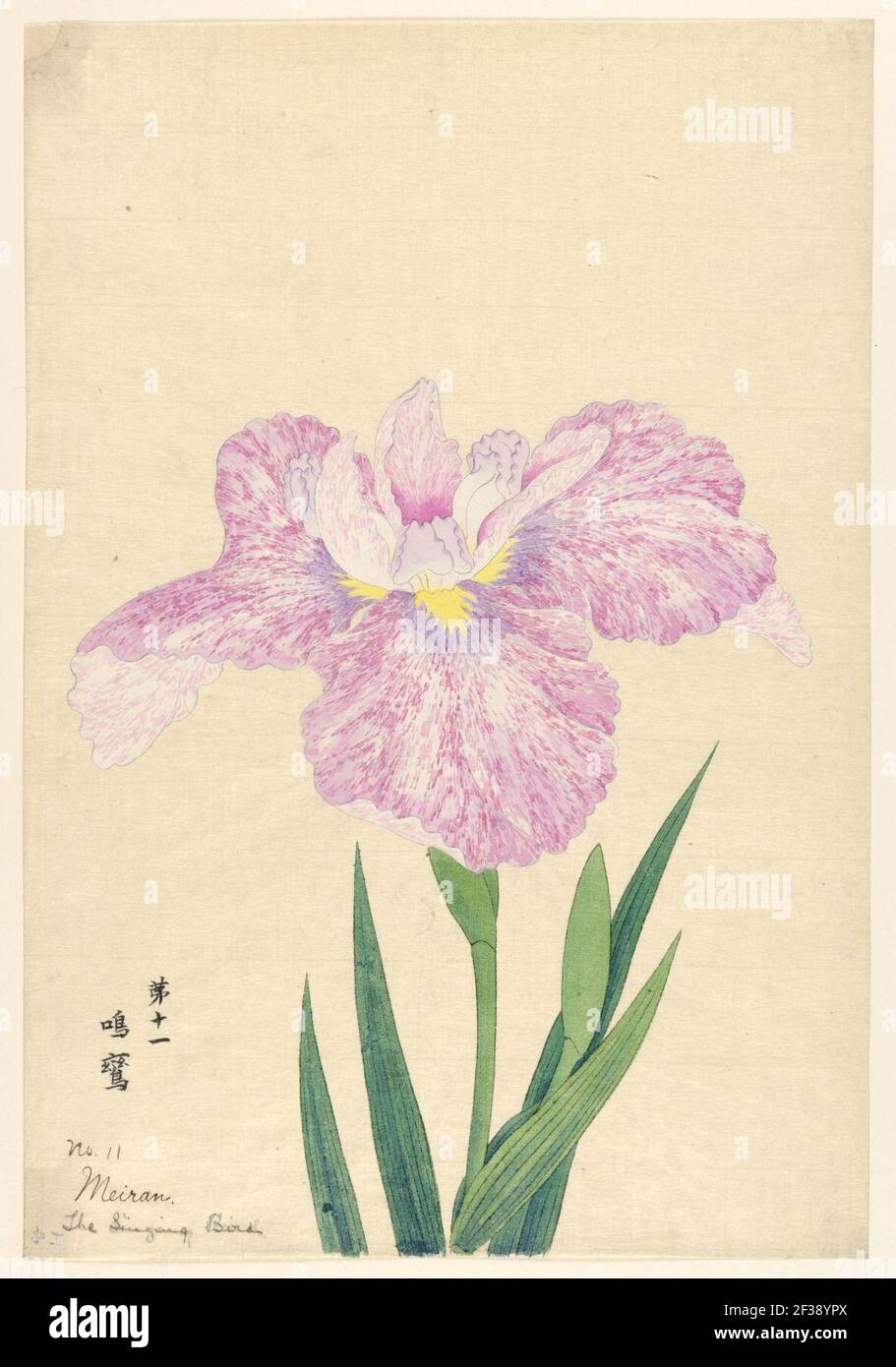 Print, The Singing Bird (Meiran), No. 11, ca. 1910 Stock Photo - Alamy