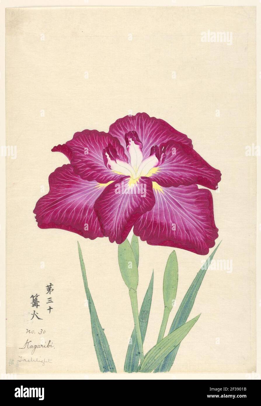 Print, Torch Light (Kagaribi), No. 30, ca. 1910 Stock Photo - Alamy