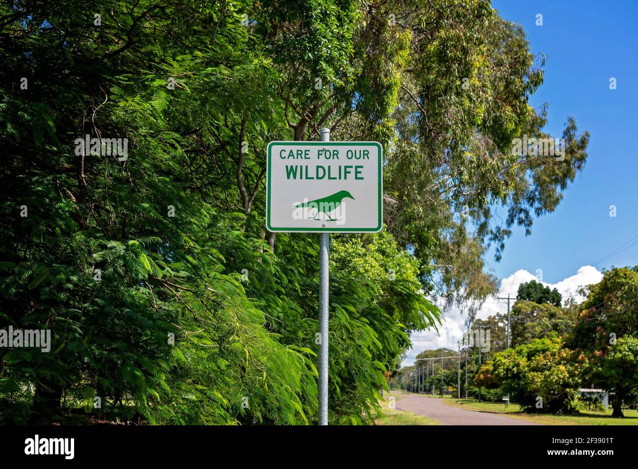 Care for our wildlife signage on leafy village street Stock Photo - Alamy