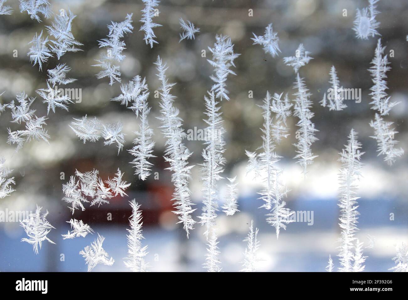 Frosted glass texture close up hi-res stock photography and images - Alamy