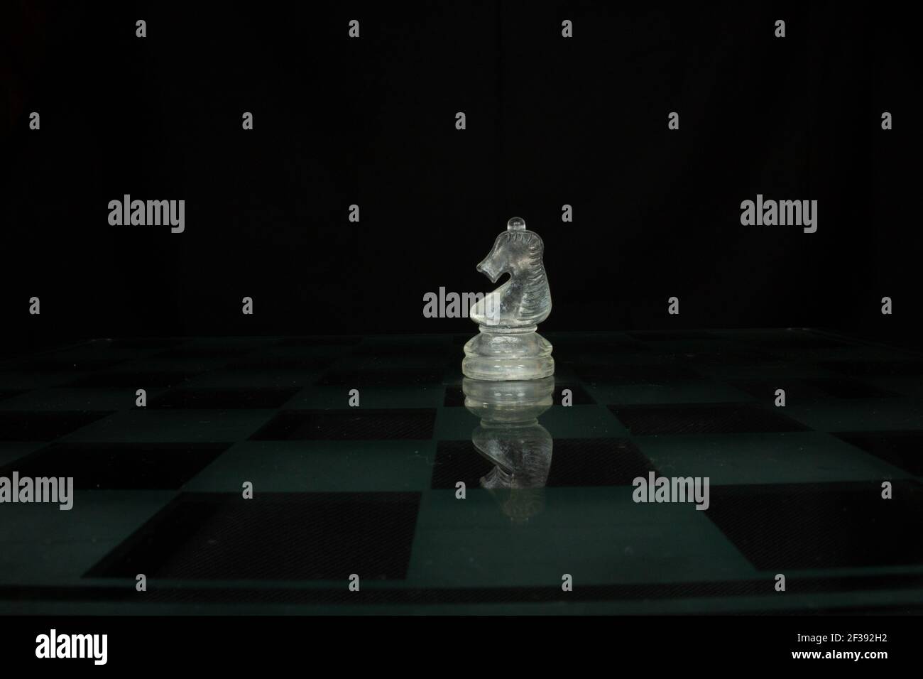 single clear chess piece knight isolated on a chequered chess board ...