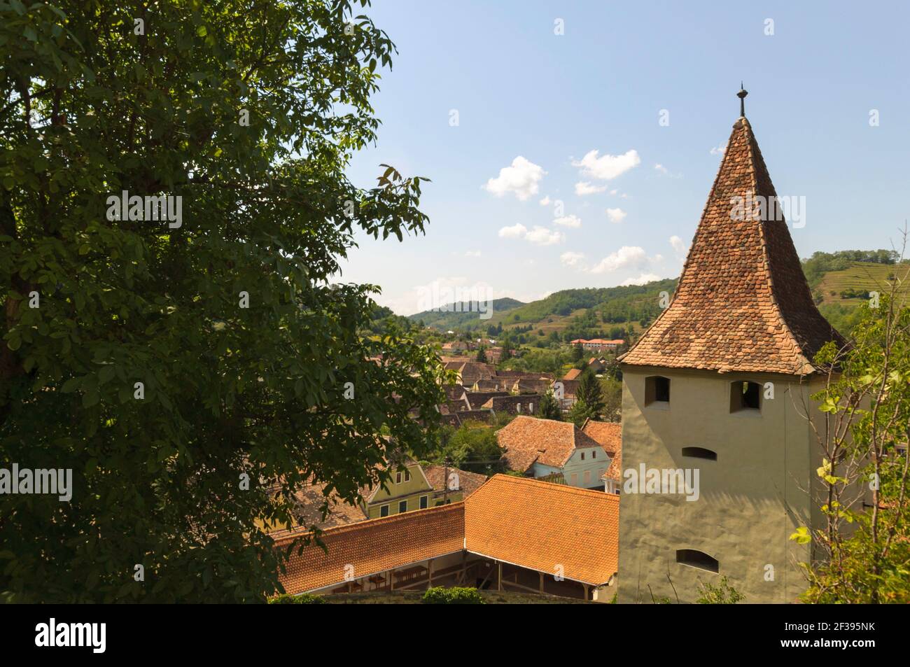 Trees and part of the fortified church in Biertan village, Romania ...