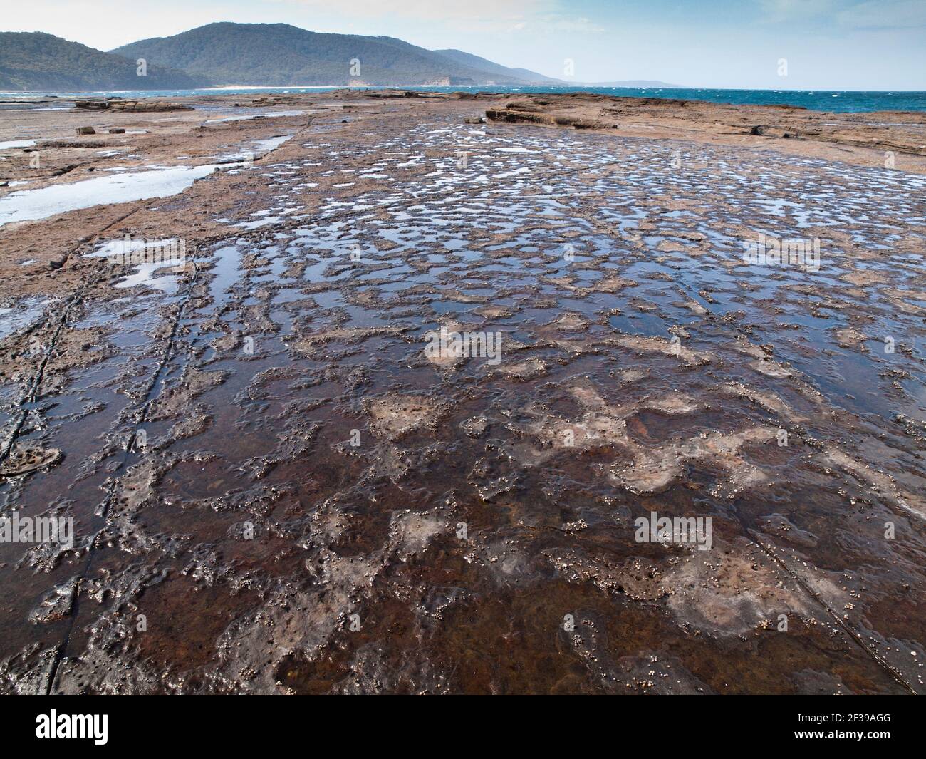 Rock platform patterns, Depot Beach, Murramarang National Park, NSW ...