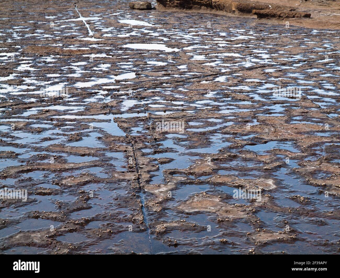 Rock platform hi-res stock photography and images - Alamy