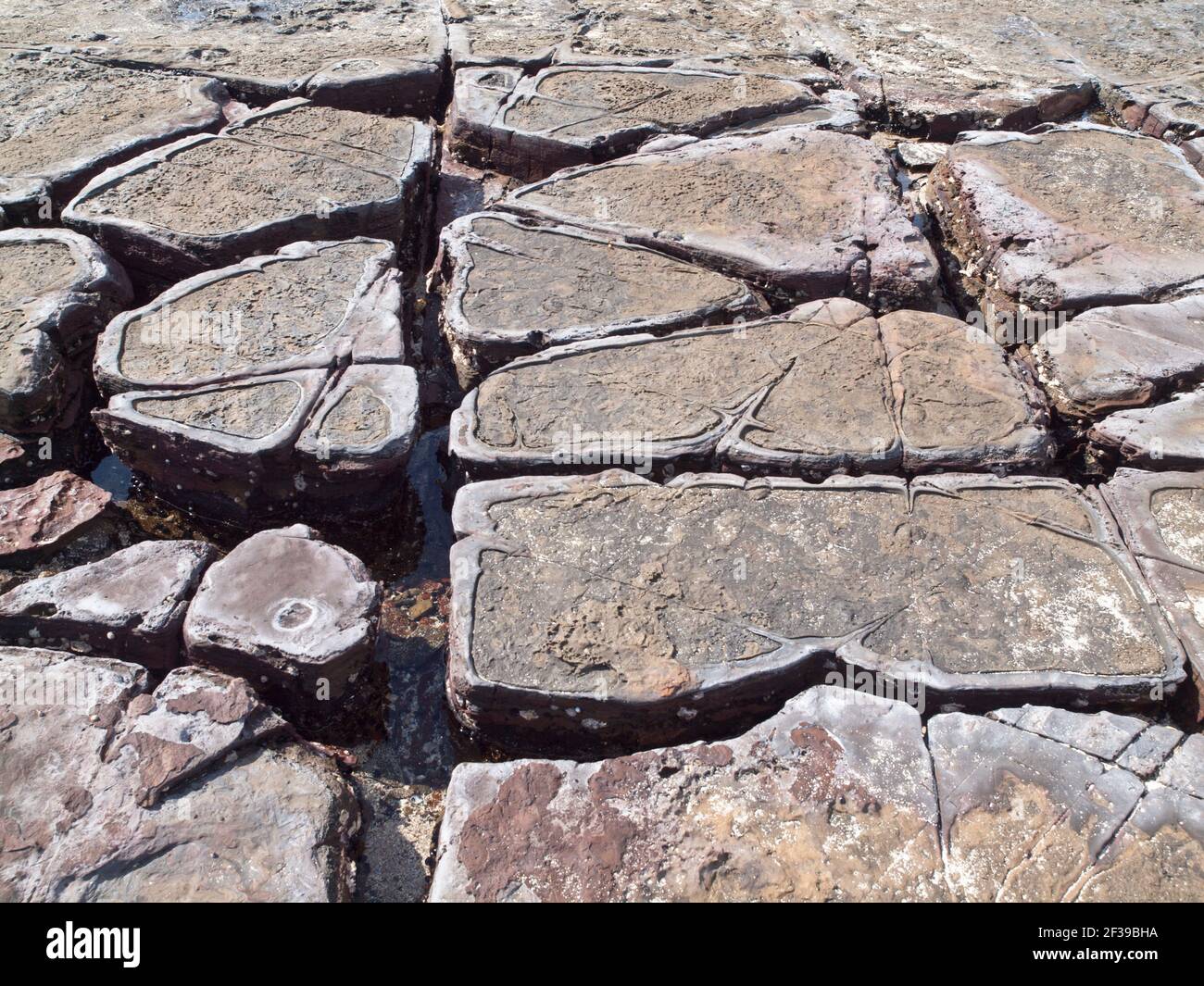 Mud platform hi-res stock photography and images - Alamy
