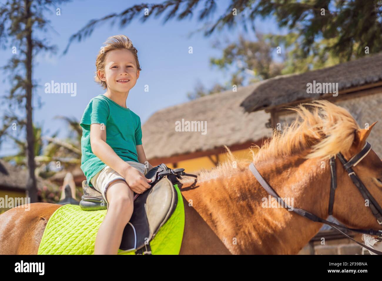Smiling, young boy ride a pony horse. Horseback riding in a tropical ...